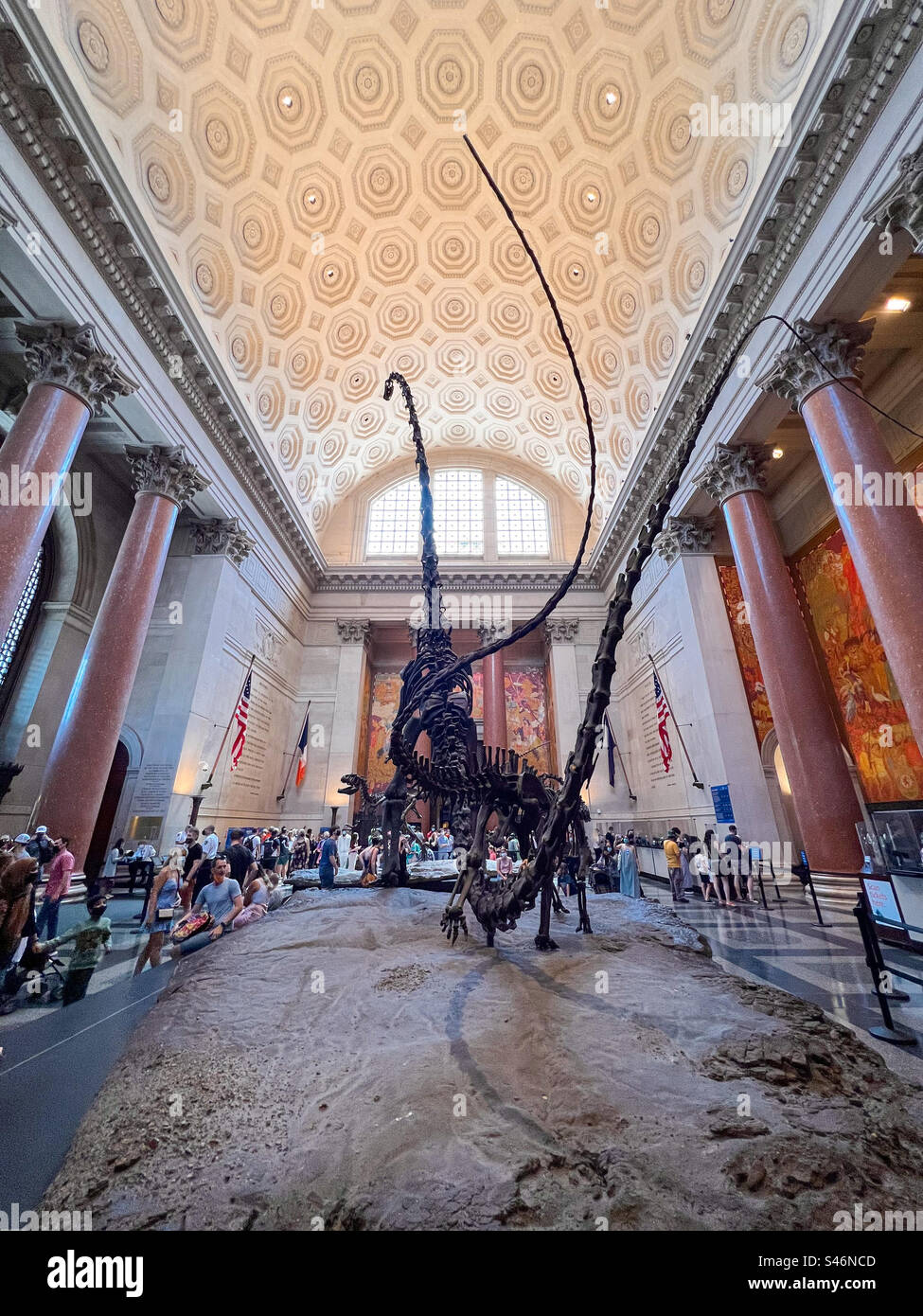 The american museum of natural history amnh hi-res stock photography ...