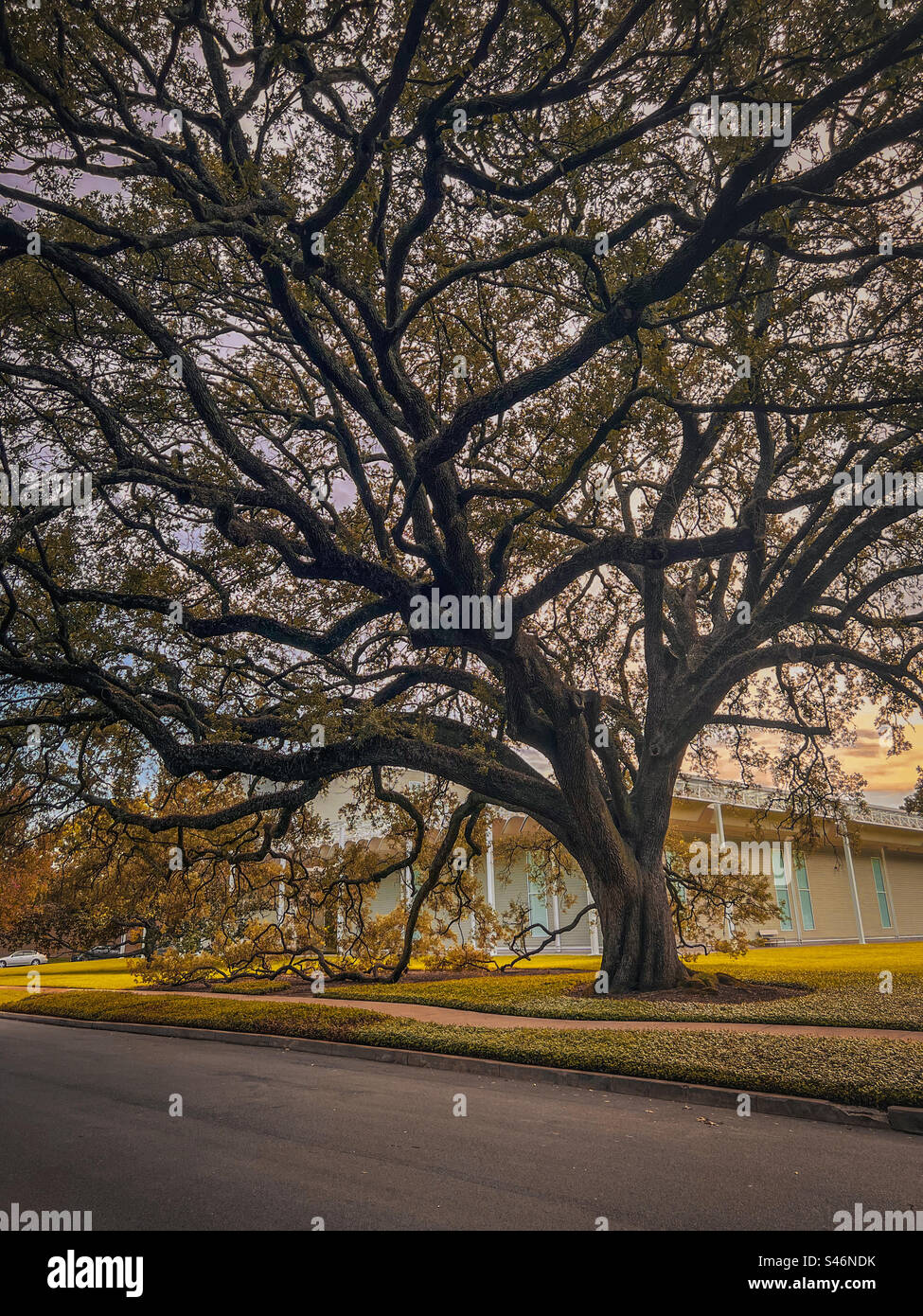 Houston menil collection hi-res stock photography and images - Alamy