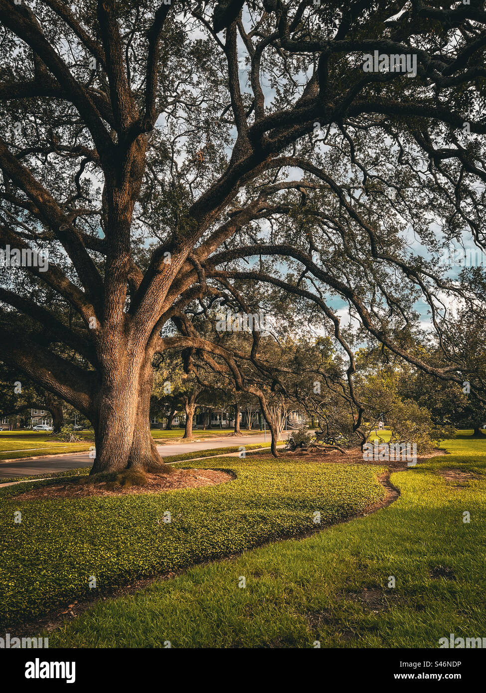 Houston menil collection hi-res stock photography and images - Alamy