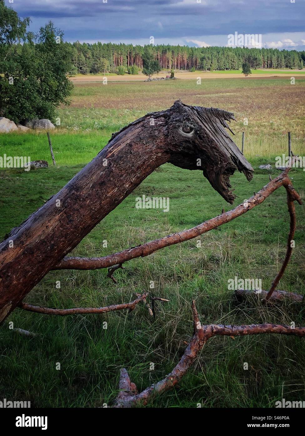 Forest troll hi-res stock photography and images - Alamy