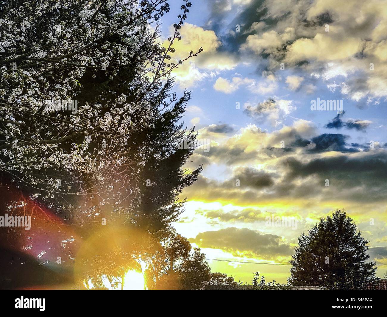 Clouds Nature Sun Trees 2+ Million Sky Cloud Sun Trees Royalty Free