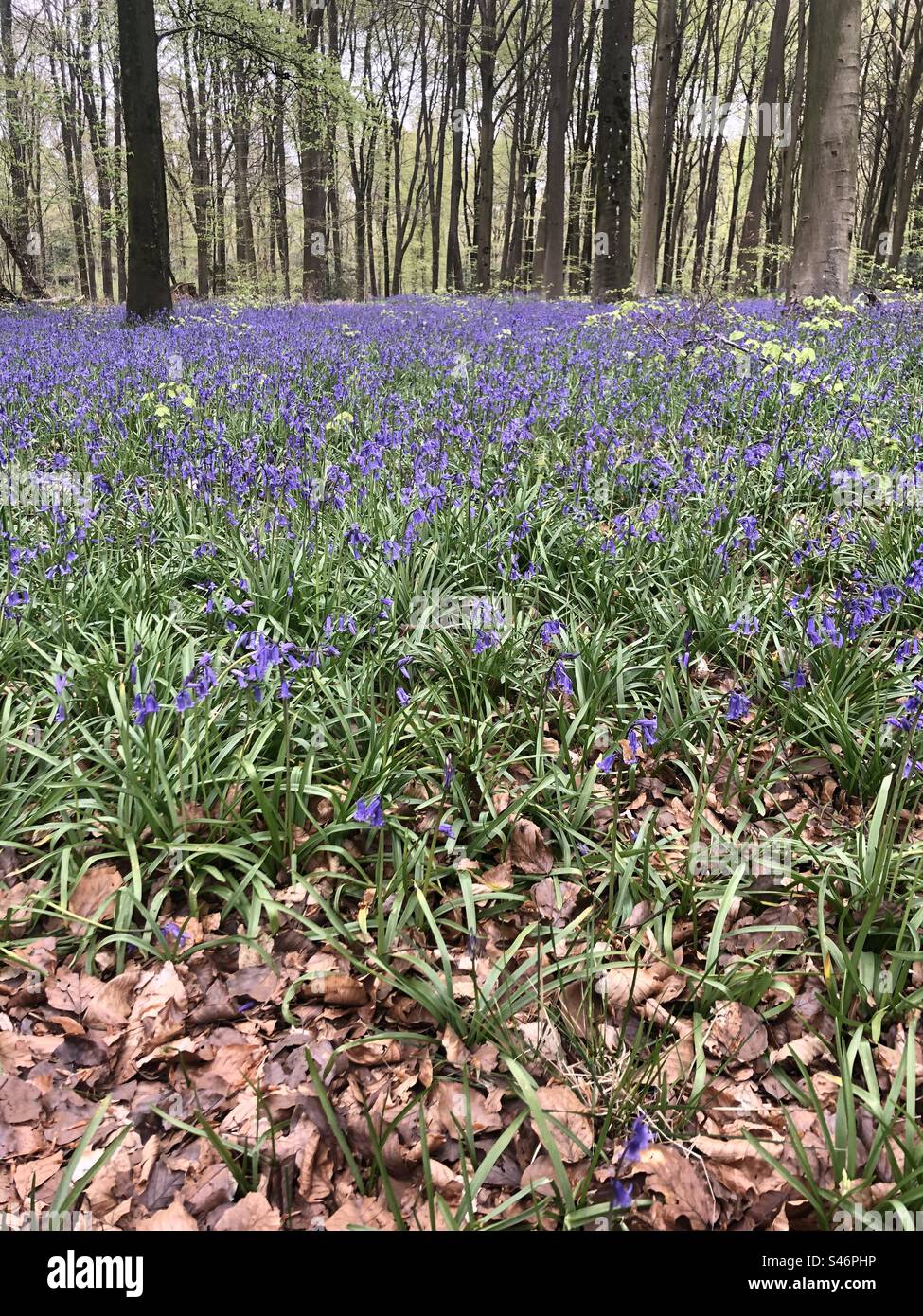 Micheldever hi-res stock photography and images - Alamy