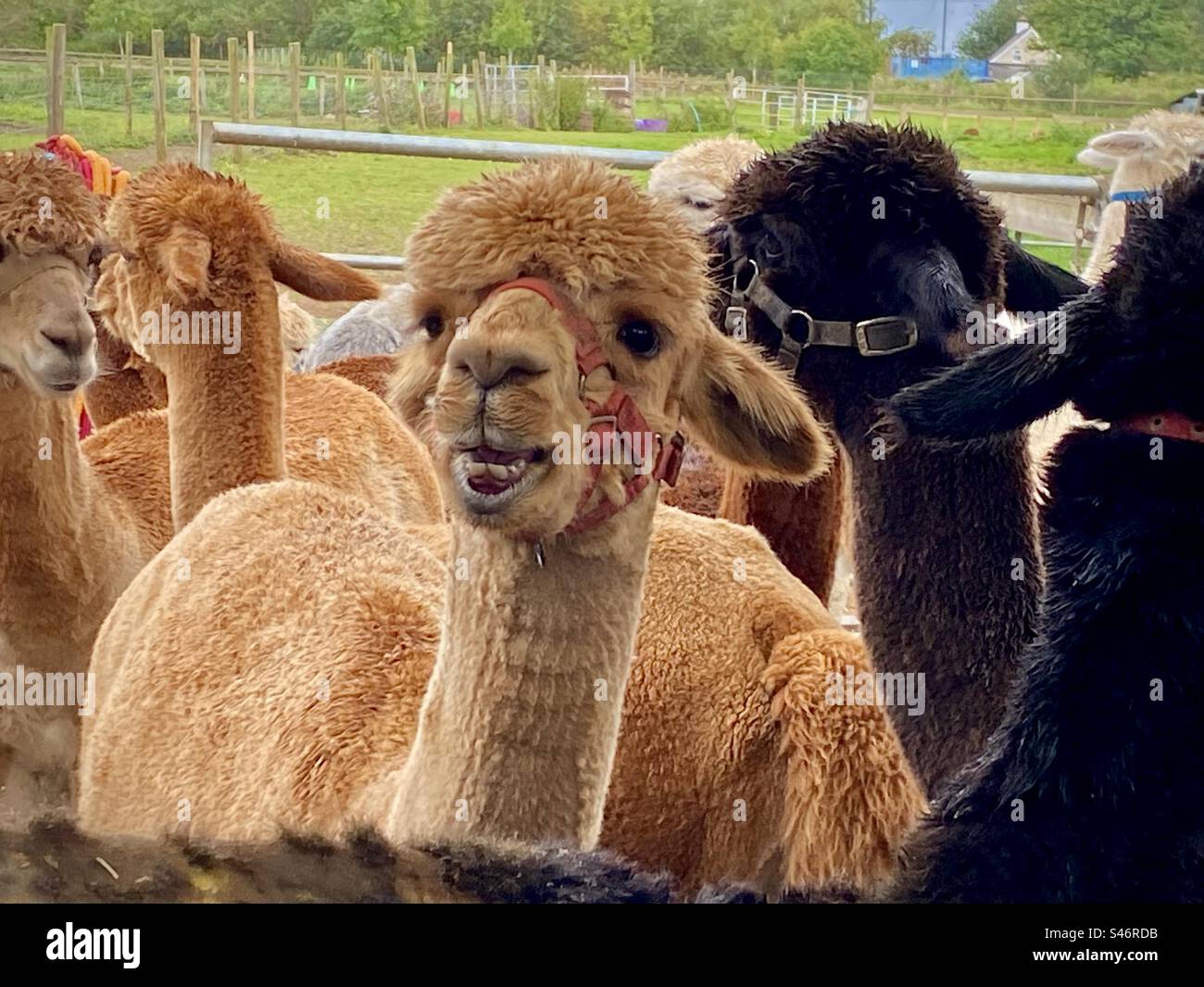 Group experience hi-res stock photography and images - Alamy