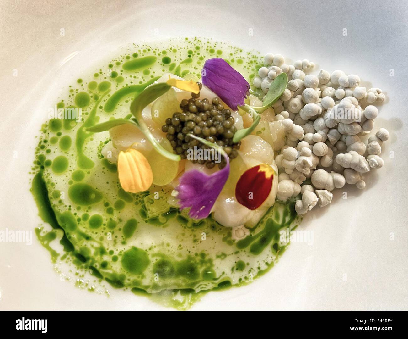 Fine Dining Dish of Scallops and Oyster Ice Cream Stock Photo - Alamy
