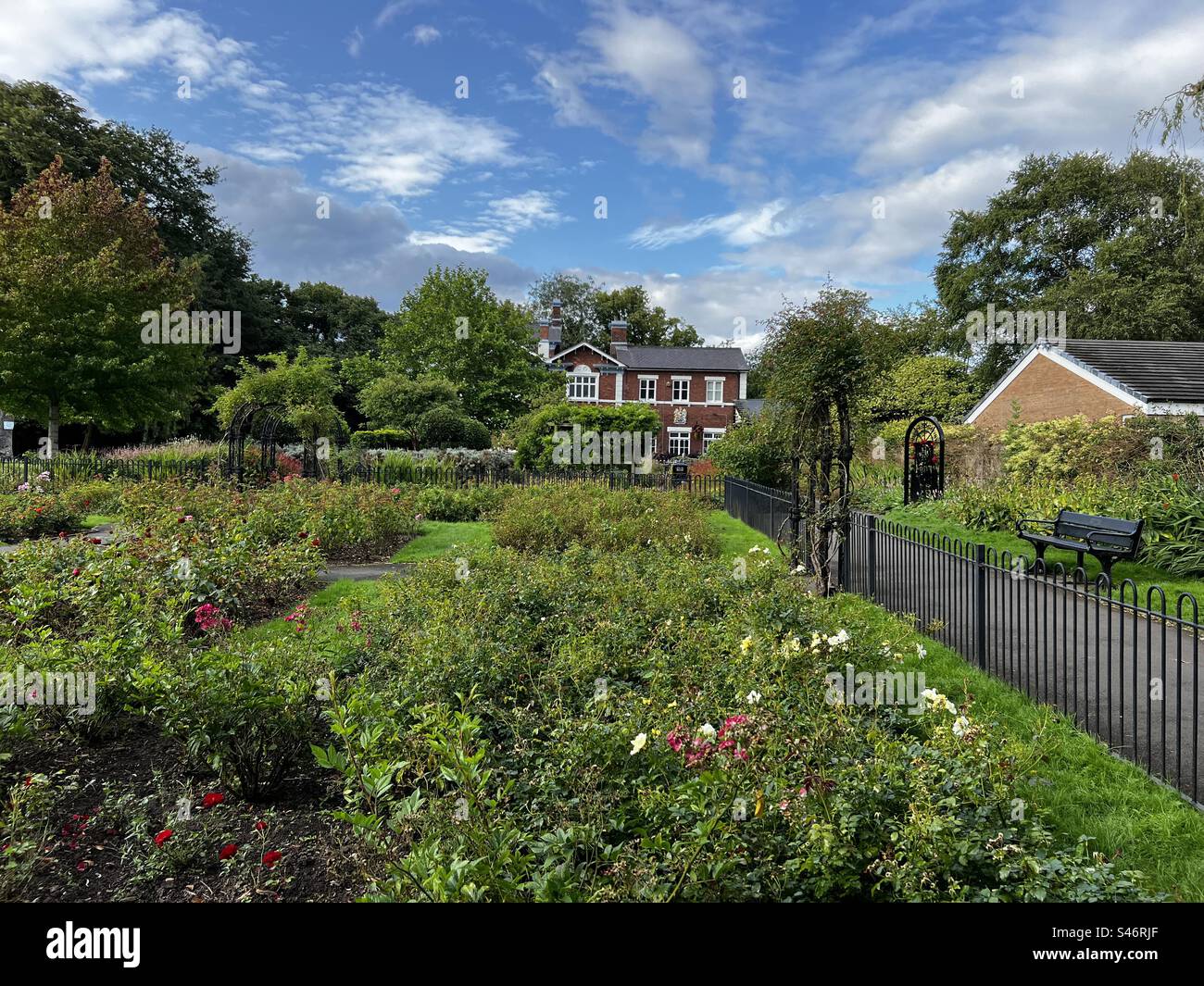 Rose garden with brick building in background Stock Photo - Alamy