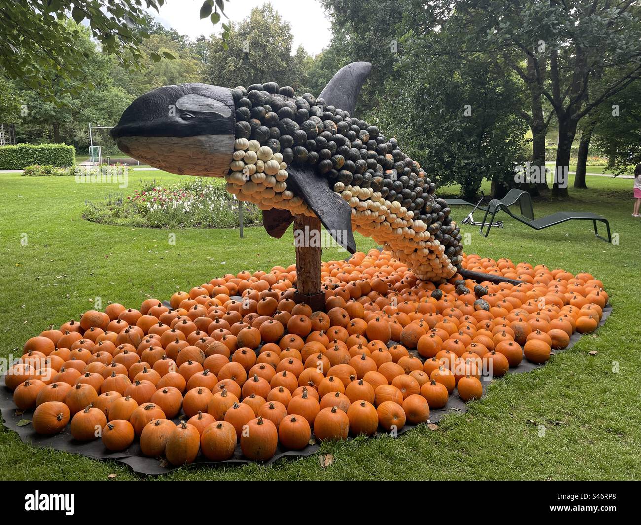 A remarkable pumpkin-crafted whale, showcasing creative ingenuity ...