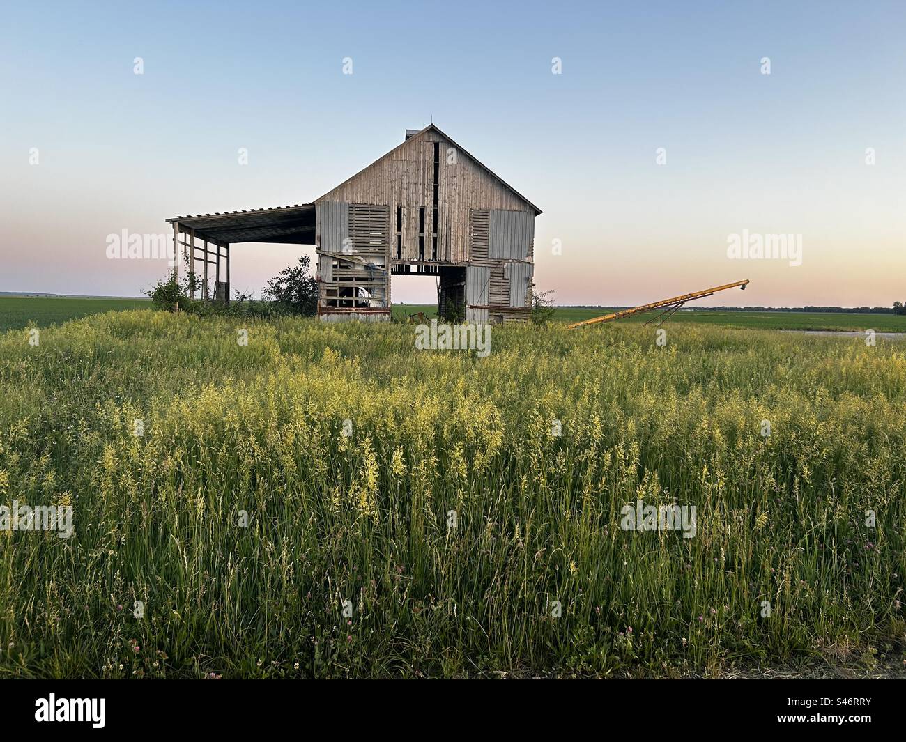 Overgrown old farm equipment hi-res stock photography and images - Alamy