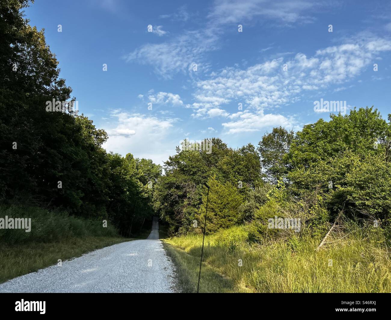 Shaded dirt road hi-res stock photography and images - Alamy
