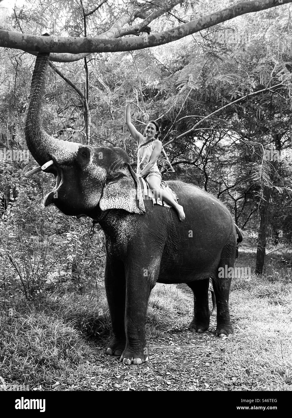 Elephant ride hi-res stock photography and images - Alamy