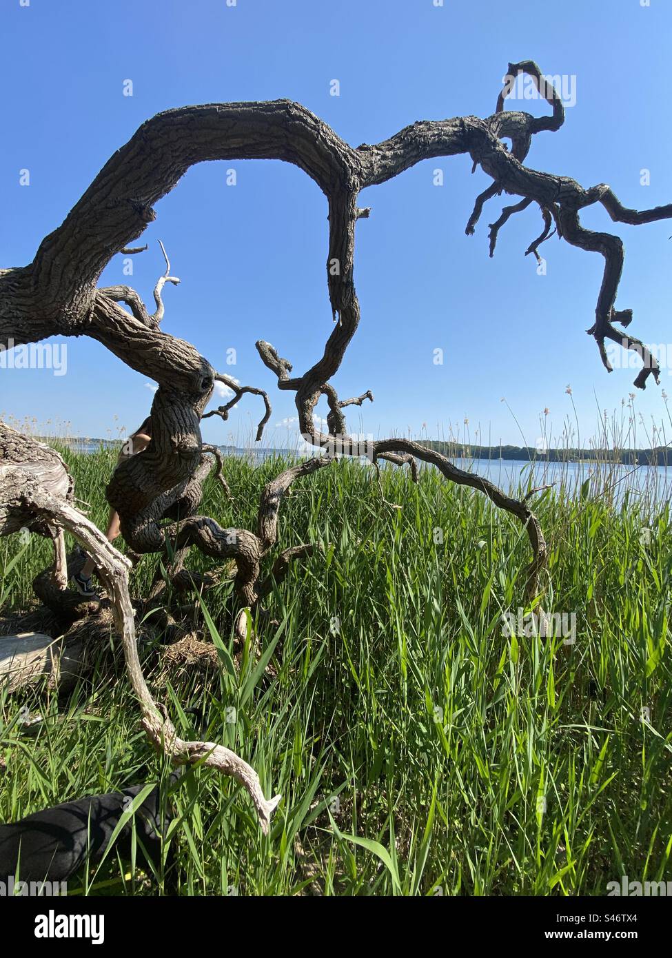 Nature denmark hi-res stock photography and images - Alamy