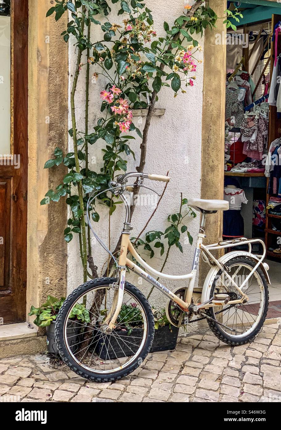 Bicycle propped up next to a flowering bush growing up a wall Stock ...