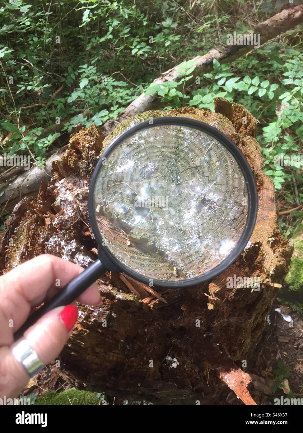 Looking through a magnifying glass smartphone stock photos and images ...