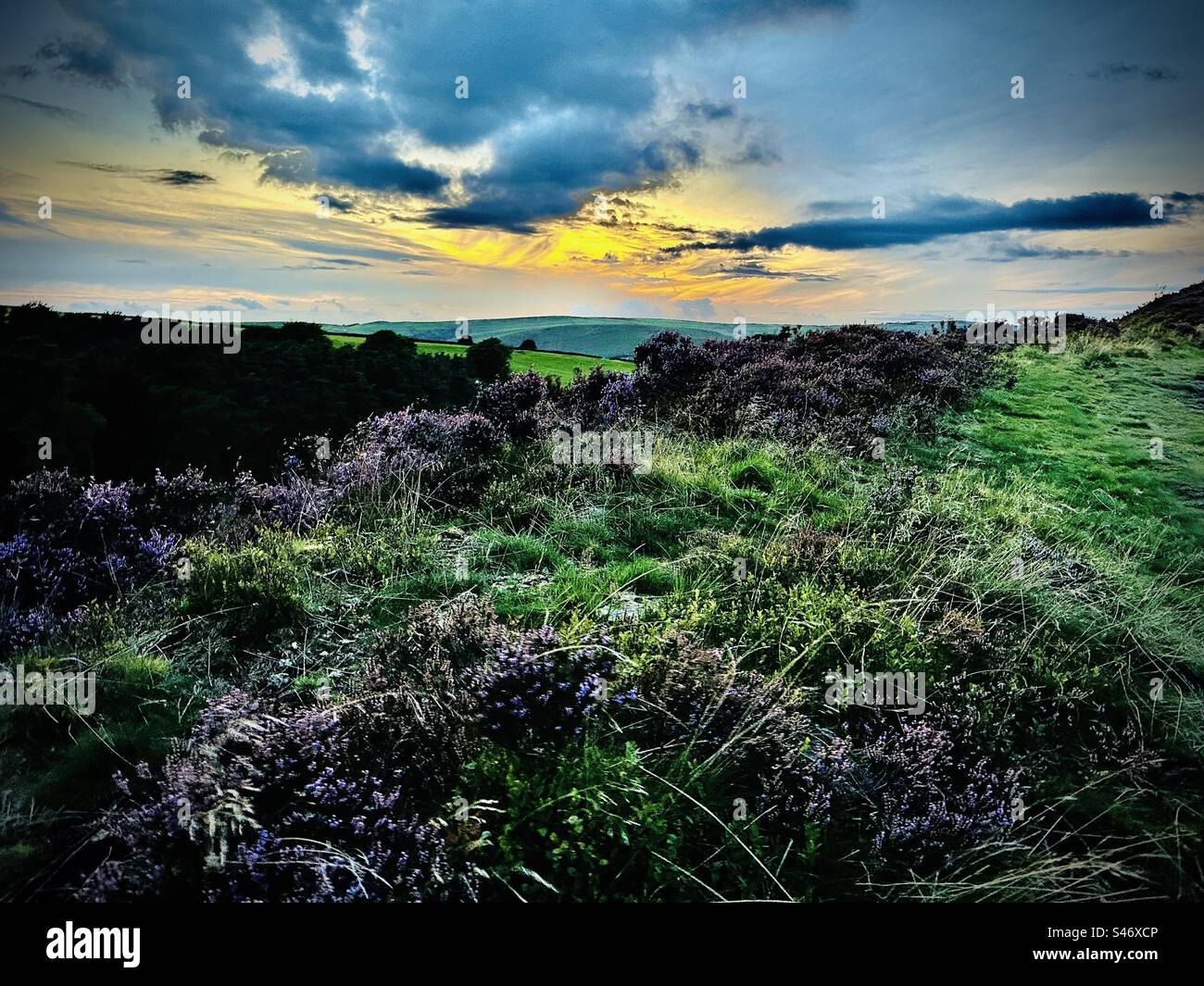 Moors at dusk hi-res stock photography and images - Alamy
