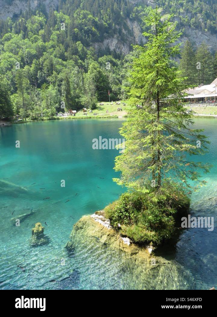 Blue lake blausee lake switzerland hi-res stock photography and images ...