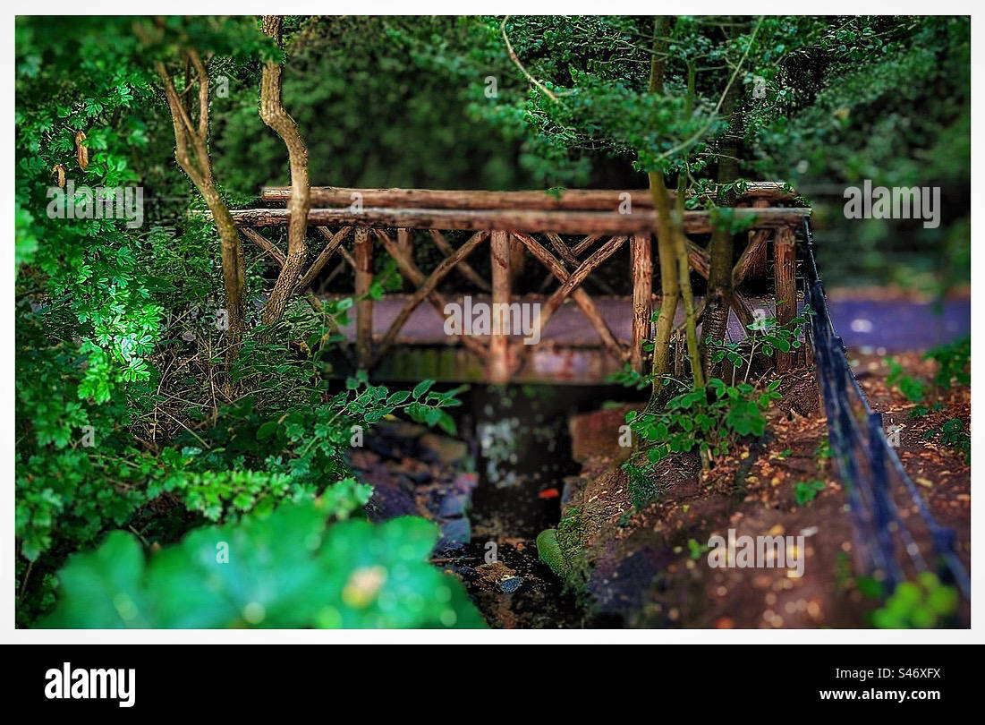 A wooden bridge over the River Peck in Peckham Rye park Stock Photo - Alamy