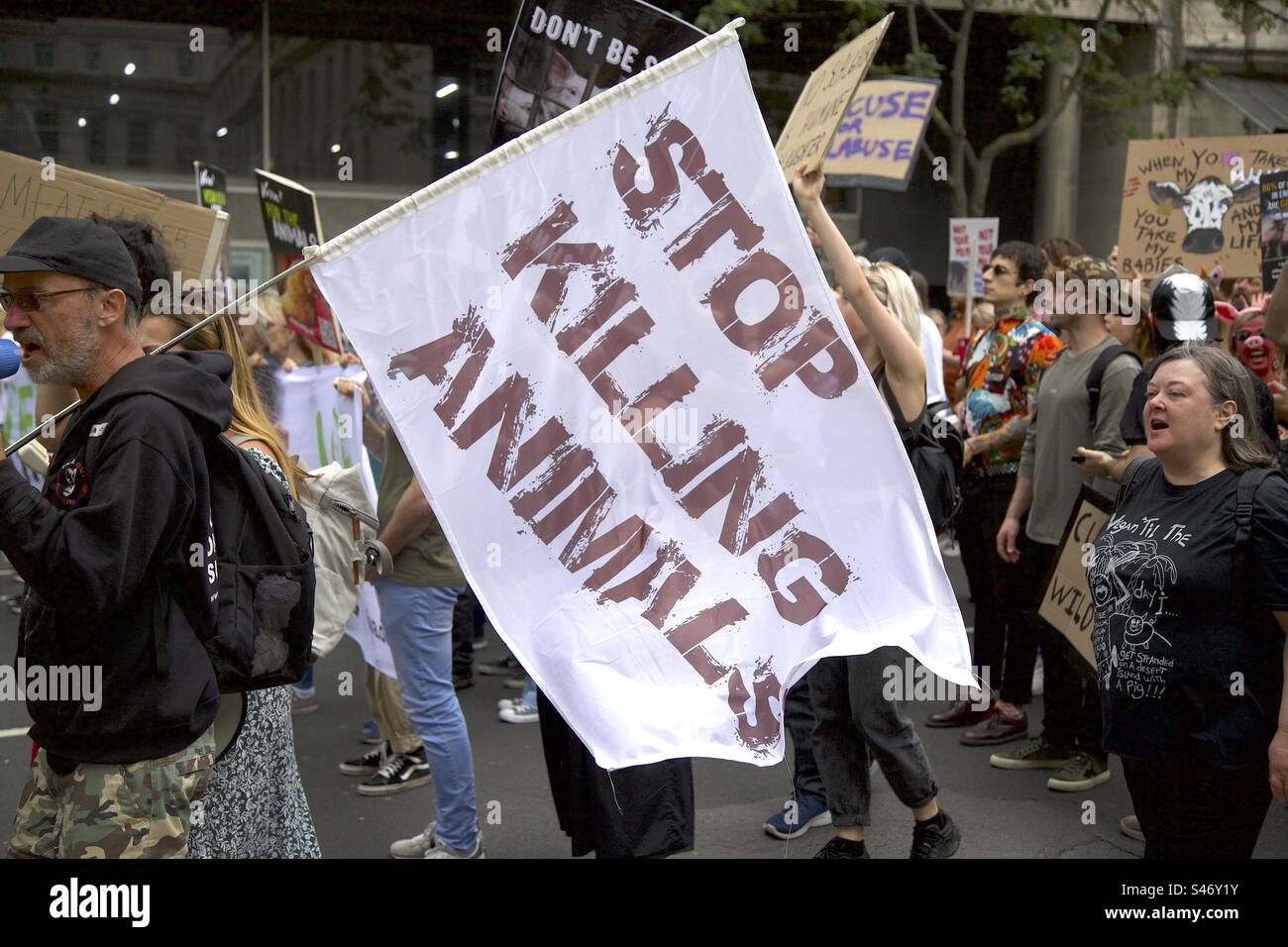 Vegan flag hi-res stock photography and images - Alamy