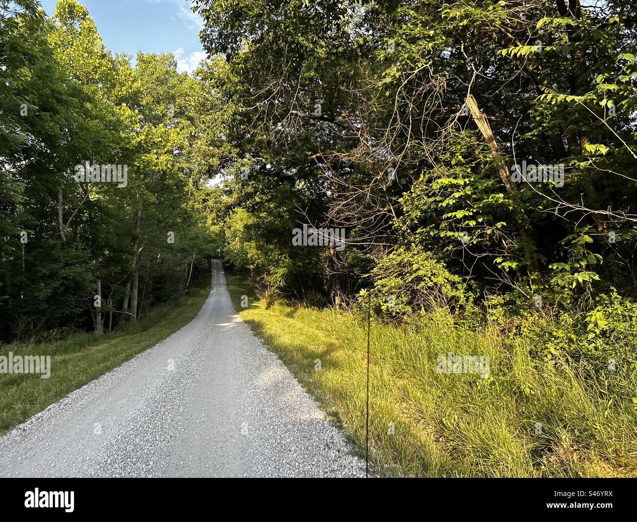 Canopy road hi-res stock photography and images - Alamy