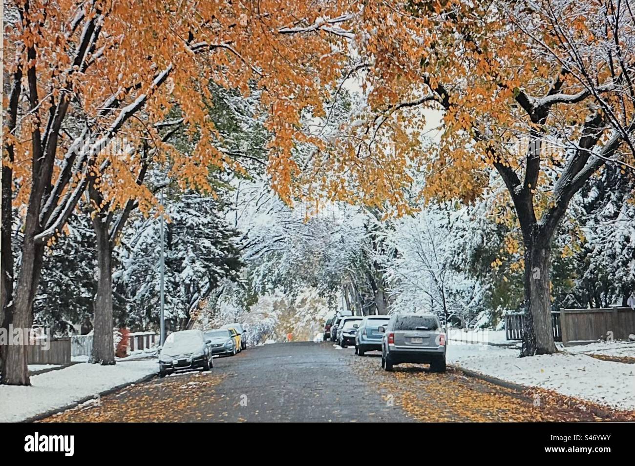 22 2022 hi-res stock photography and images - Alamy