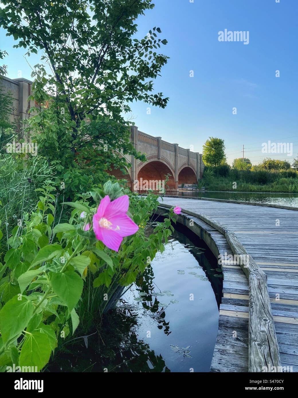 Carmel indiana hi-res stock photography and images - Alamy