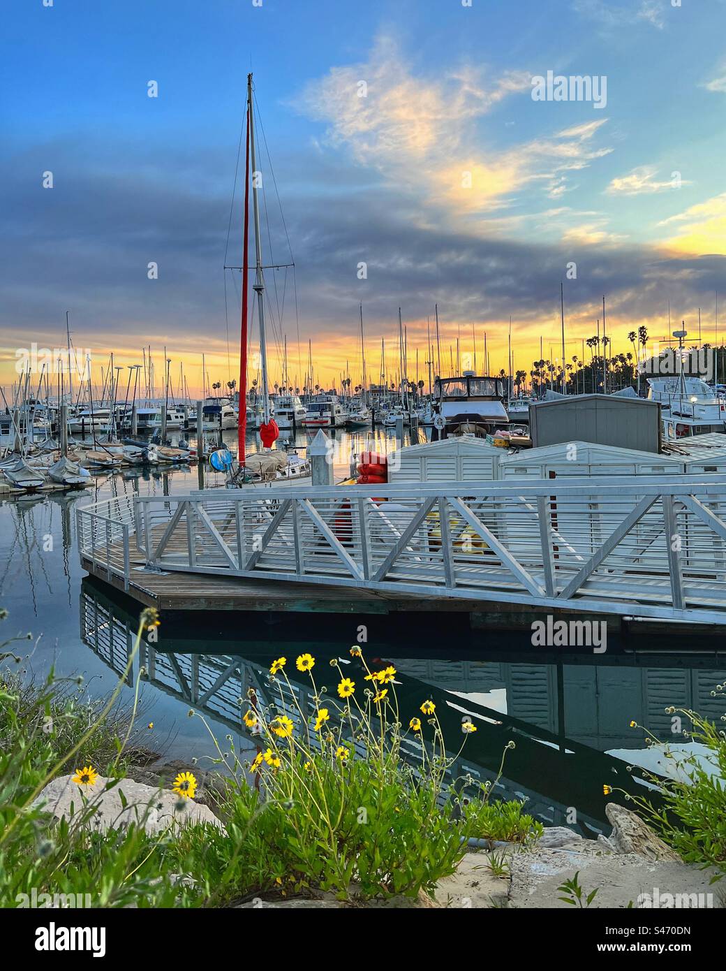 Boats in Santa Barbara, California harbor at dusk Stock Photo - Alamy