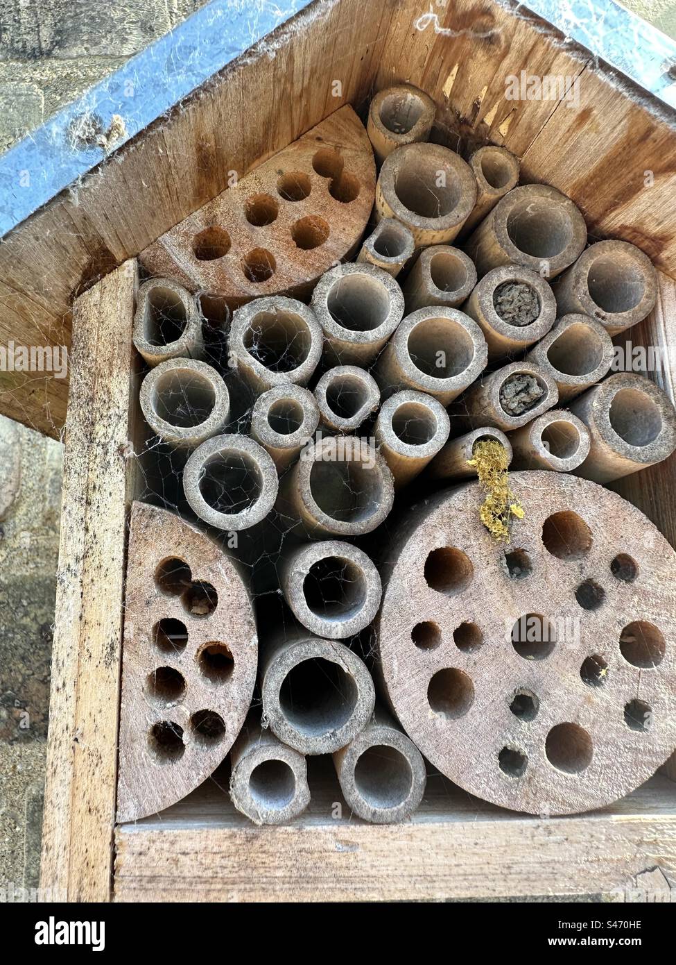 A solitary bee hotel with filled cells Stock Photo - Alamy