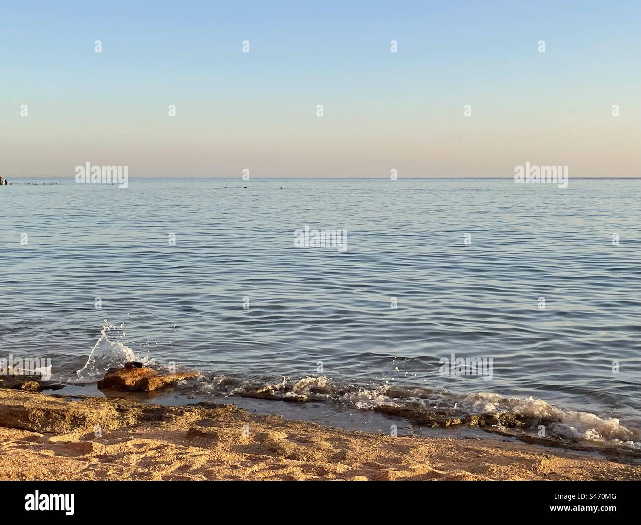 Red Sea - Sharm el Seikh- Egypt Stock Photo - Alamy