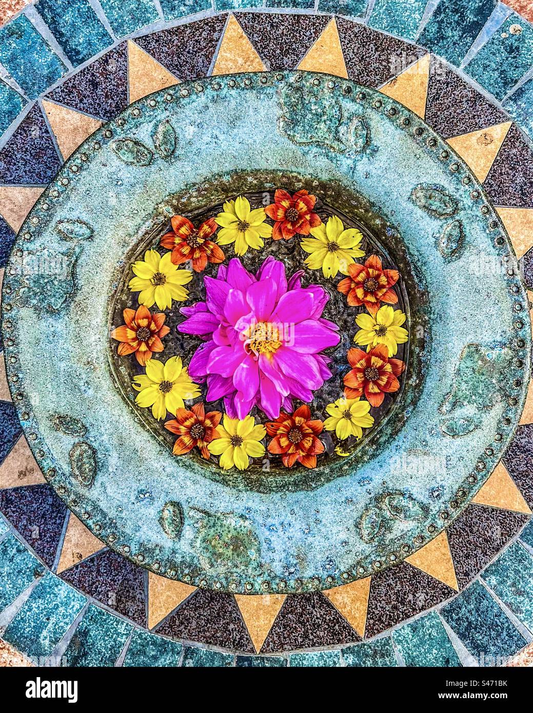 Floating flowers hi-res stock photography and images - Alamy