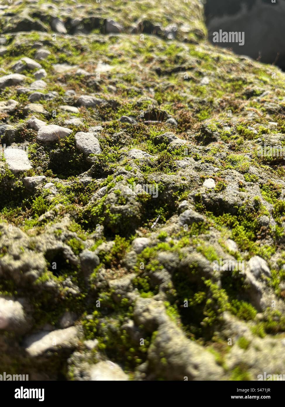 Miss stone hi-res stock photography and images - Alamy