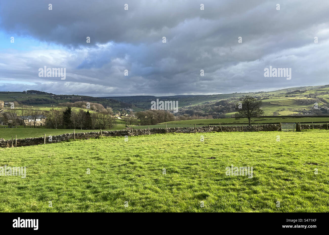 Late winter landscape, with green fields, dry stone walls, farms and ...