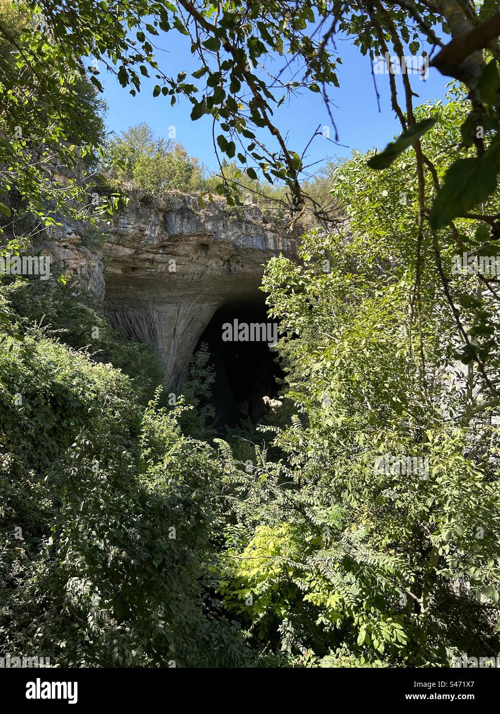 Cave forest hi-res stock photography and images - Alamy