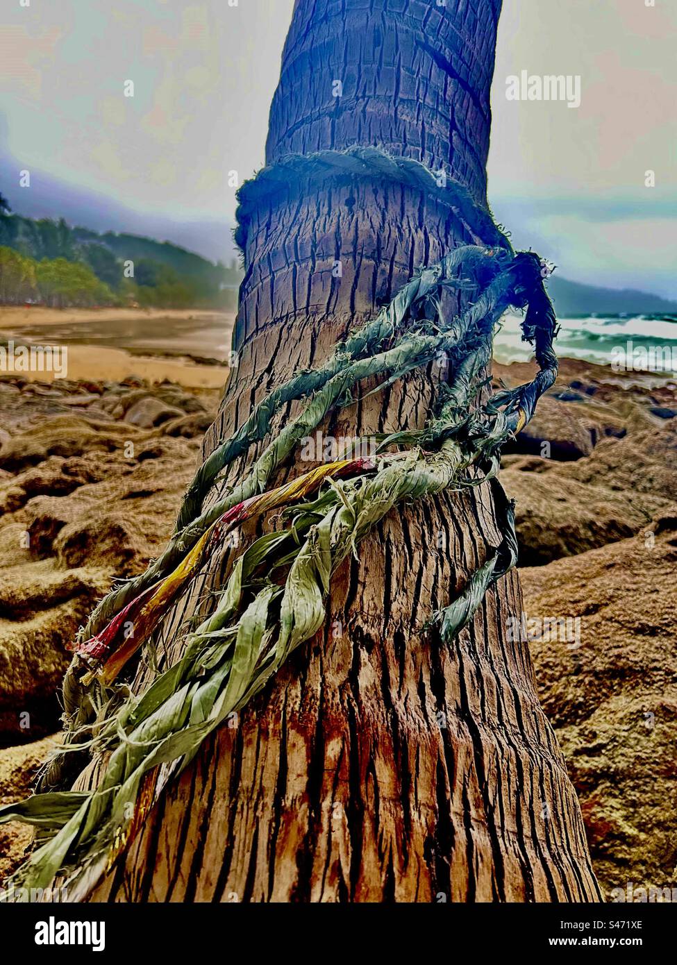 Amr around hi-res stock photography and images - Alamy