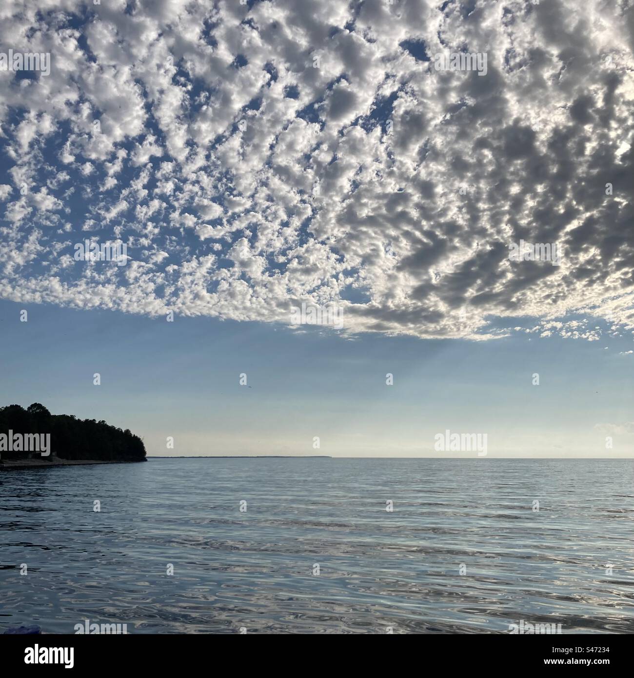 Michigan ecology hi-res stock photography and images - Alamy