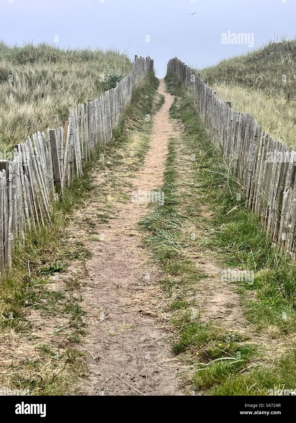 Sand pathway hi-res stock photography and images - Alamy