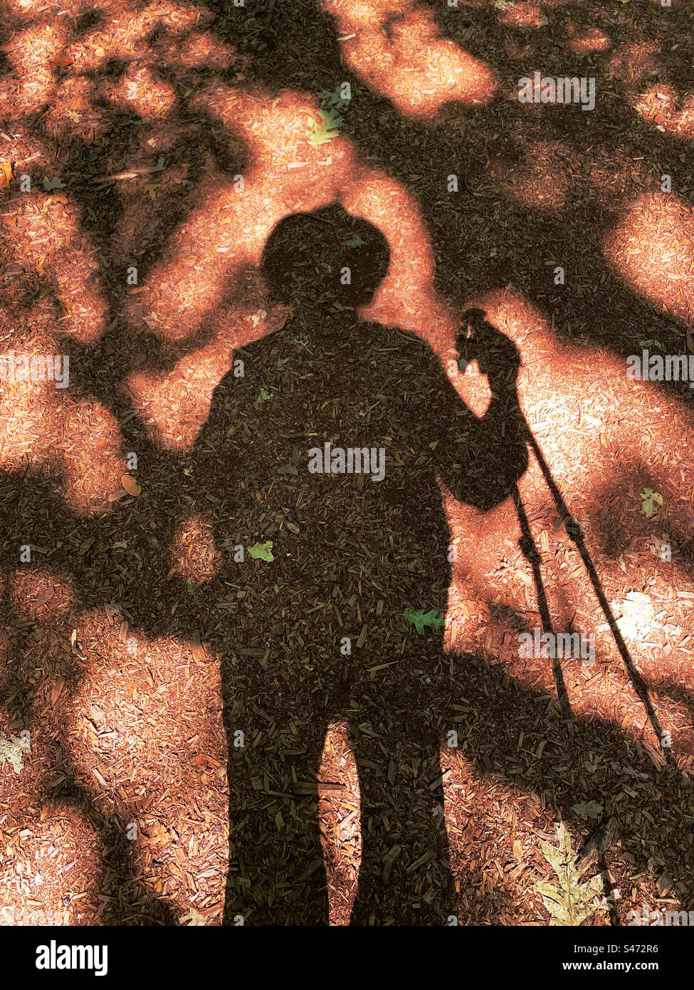 Trekker hiker shadow hi-res stock photography and images - Alamy