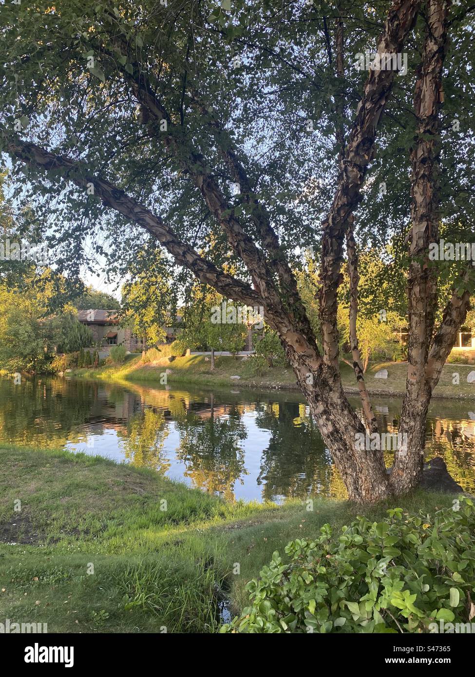 Boise river beauty hi-res stock photography and images - Alamy