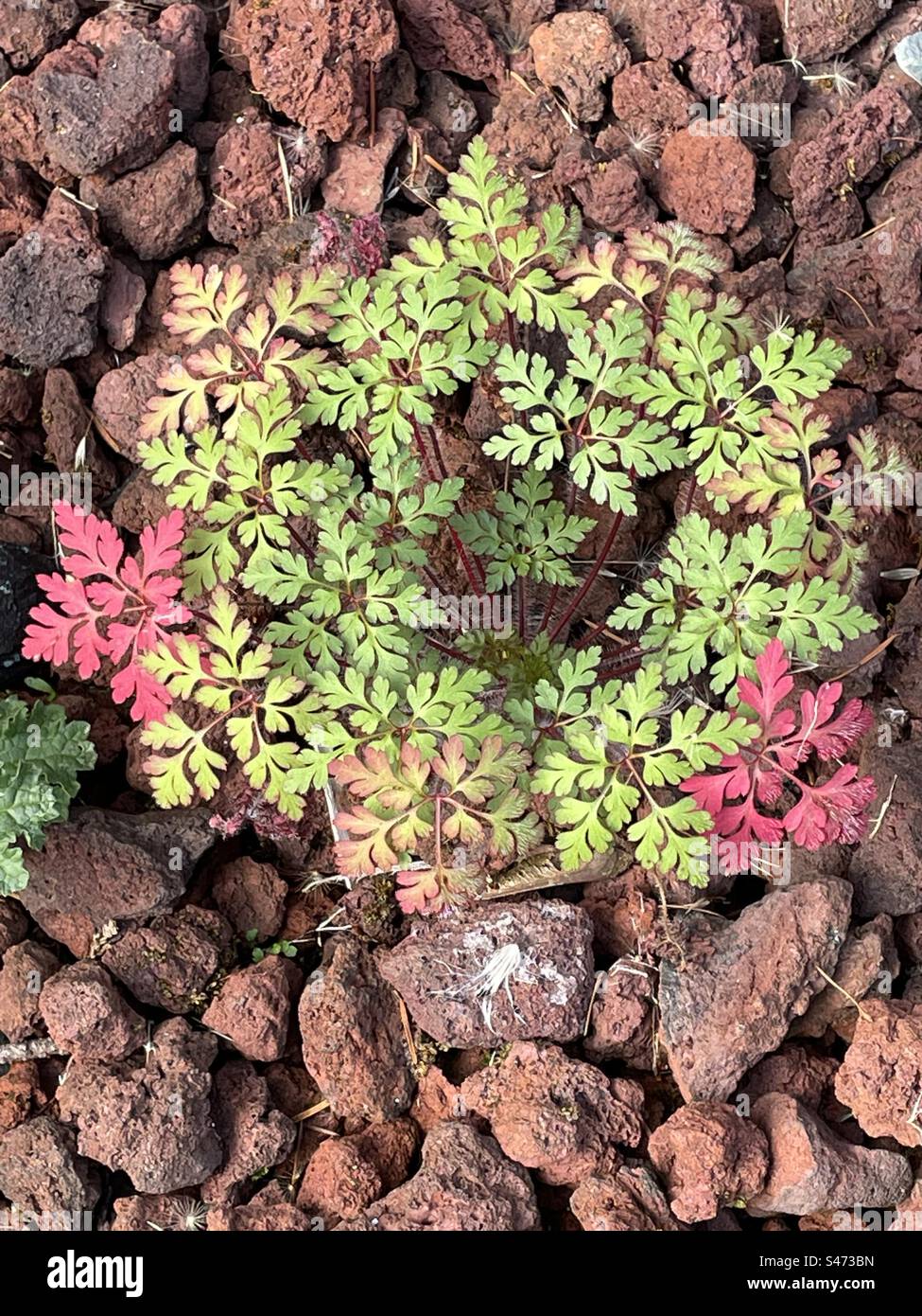 Perfect circle hi-res stock photography and images - Alamy