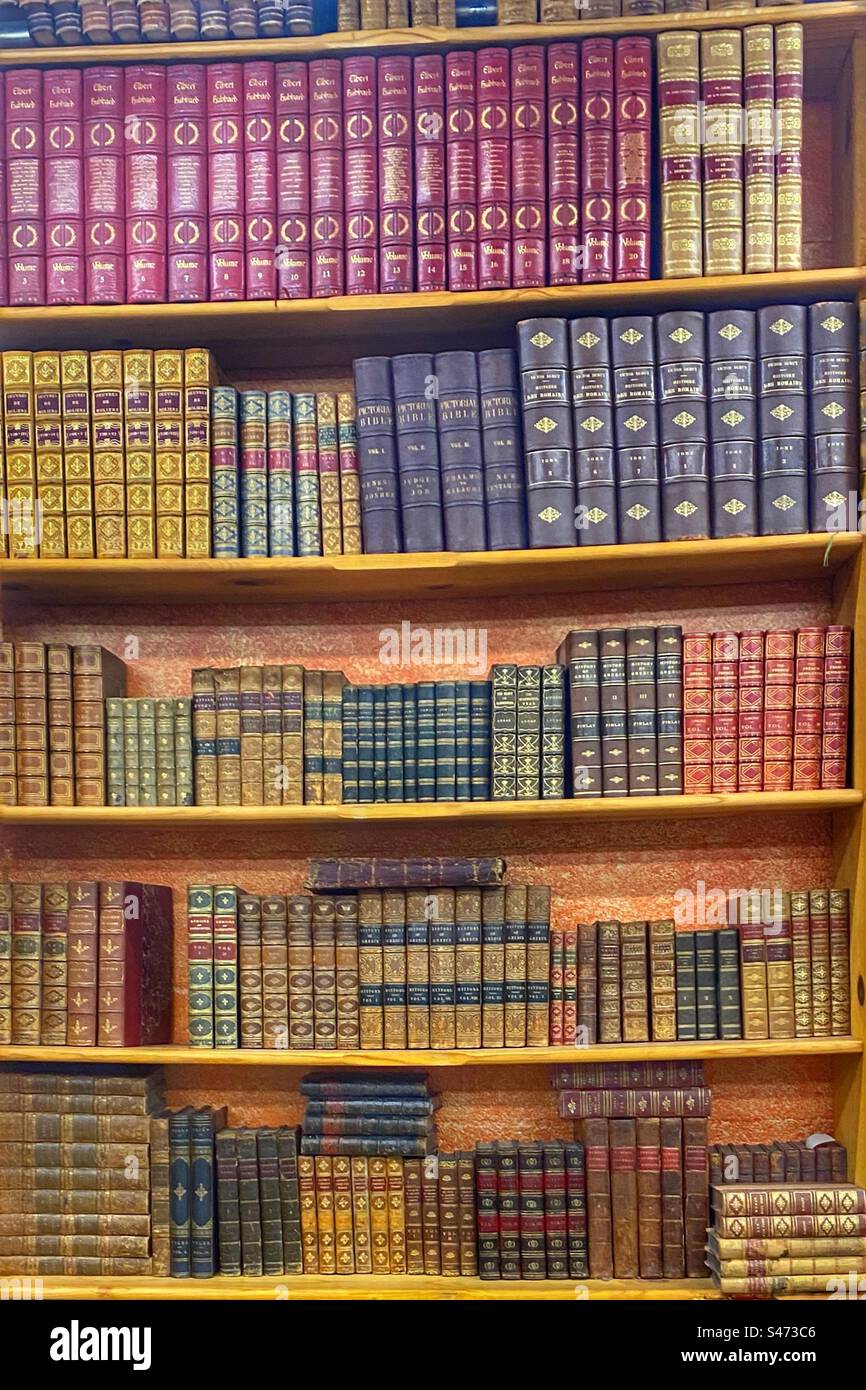 Tall Bookshelf With Books