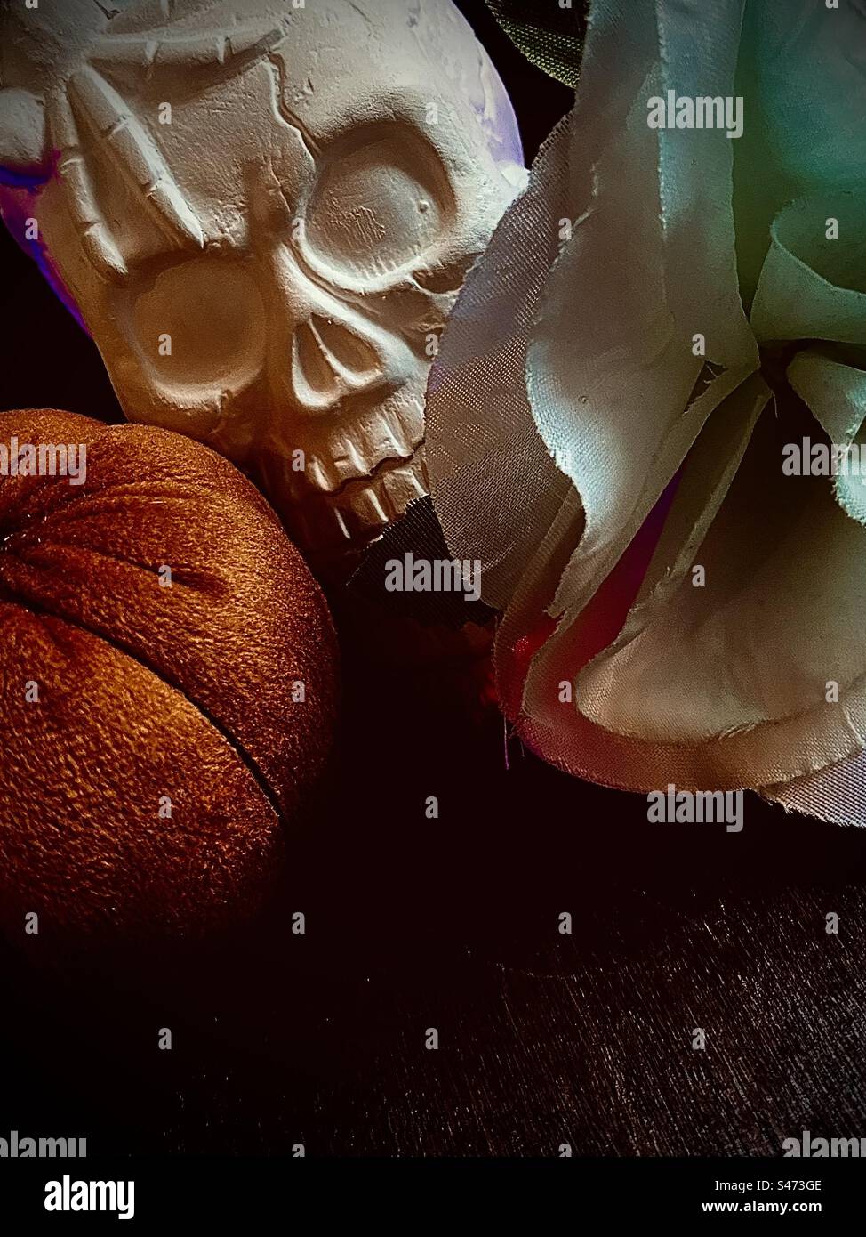 Skull goth hi-res stock photography and images - Alamy