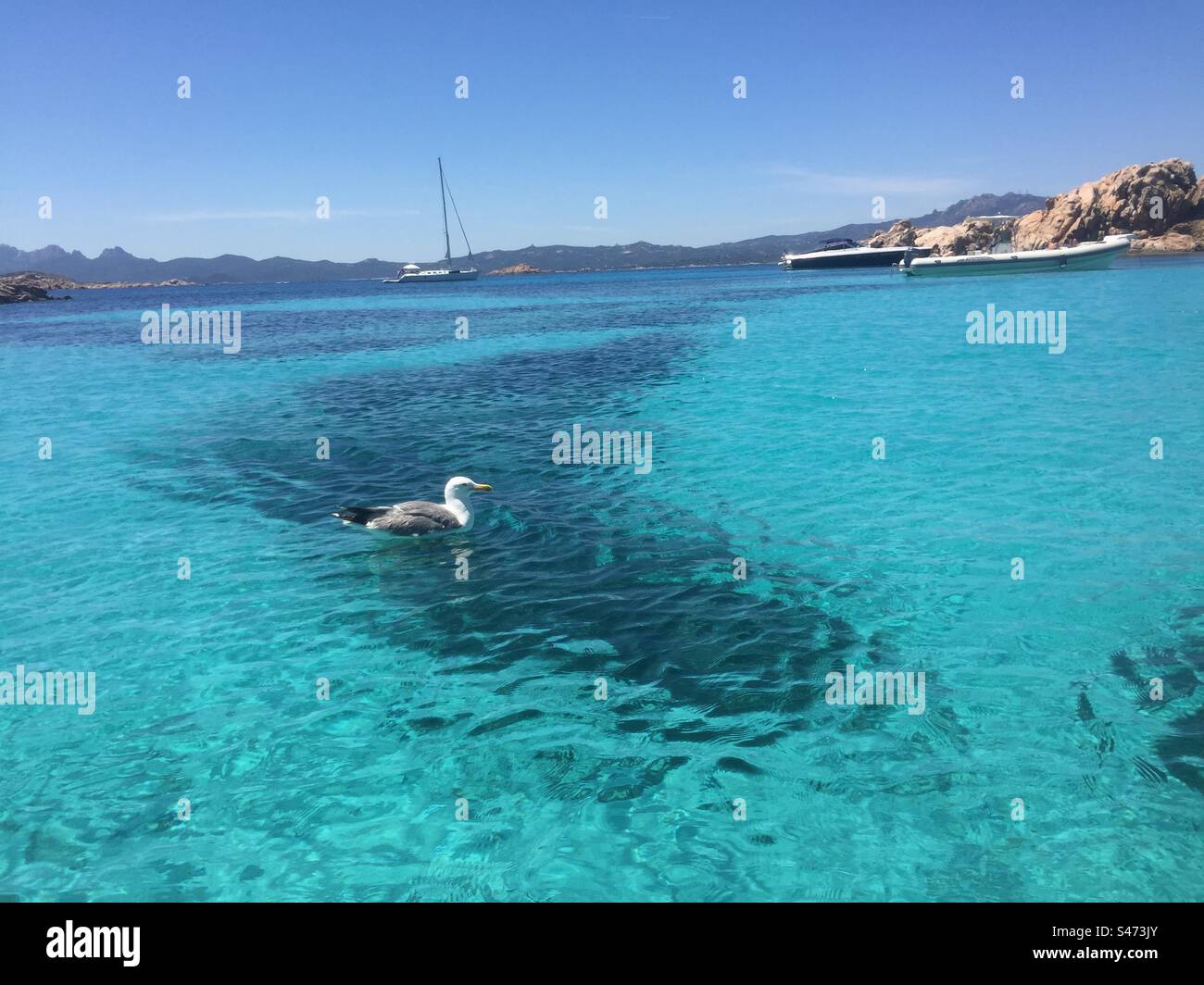 Mortorio hi-res stock photography and images - Alamy