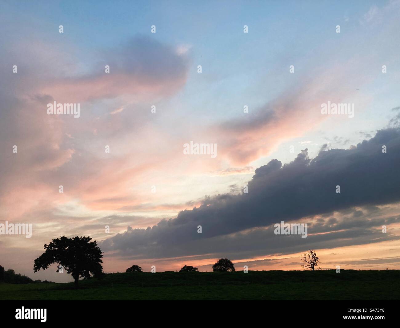 Beautiful sunset sky with tree silhouettes Stock Photo - Alamy