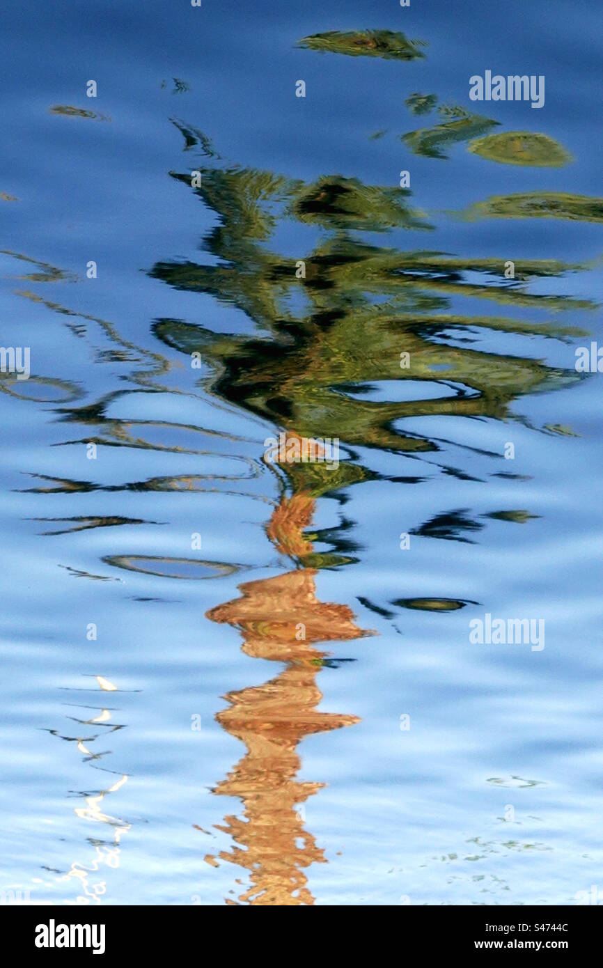 Tree over water hi-res stock photography and images - Alamy