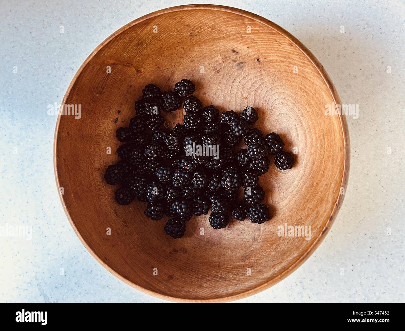 Foraged locally hi-res stock photography and images - Alamy