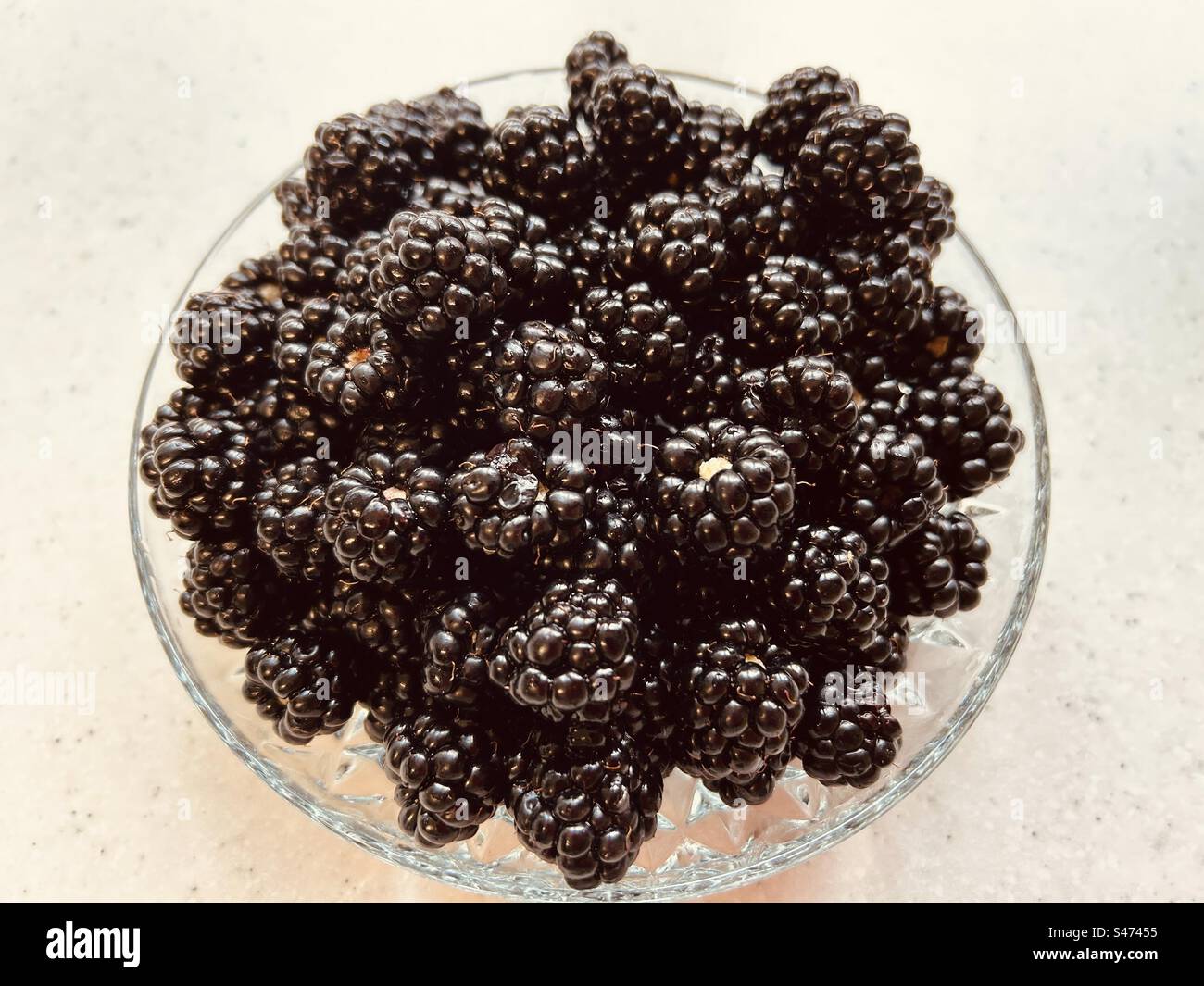 Close-up of blackberries heaped in a circular glass dish. Foraged ...