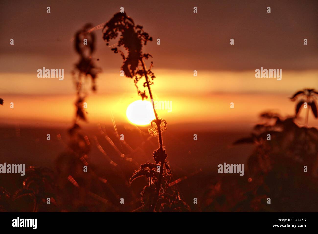 Girvan sunset with saharan dust Stock Photo - Alamy