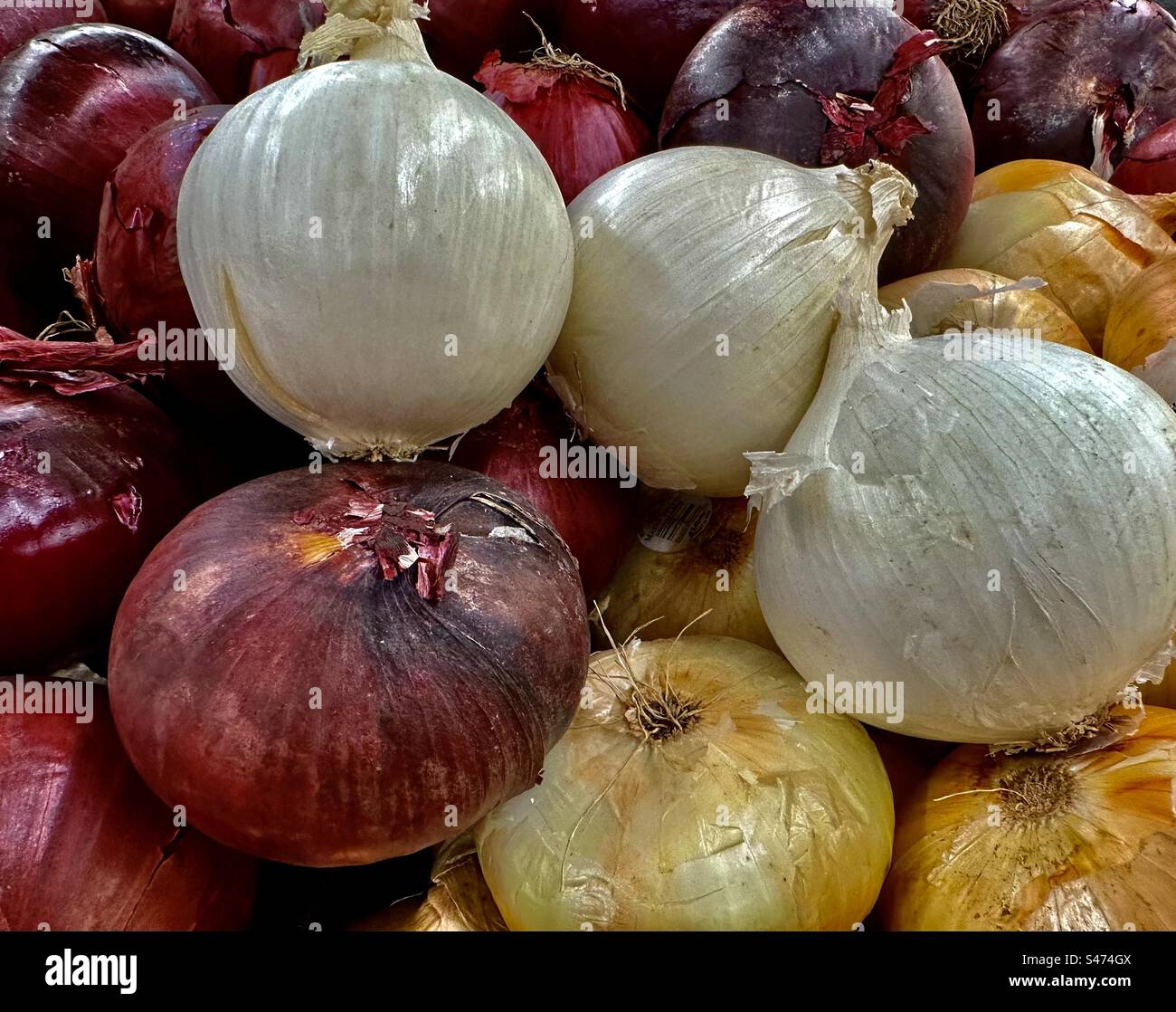 Onion colors hi-res stock photography and images - Alamy