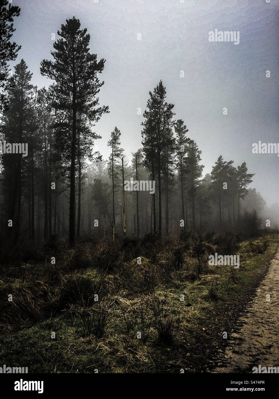 Walk into mist hi-res stock photography and images - Alamy