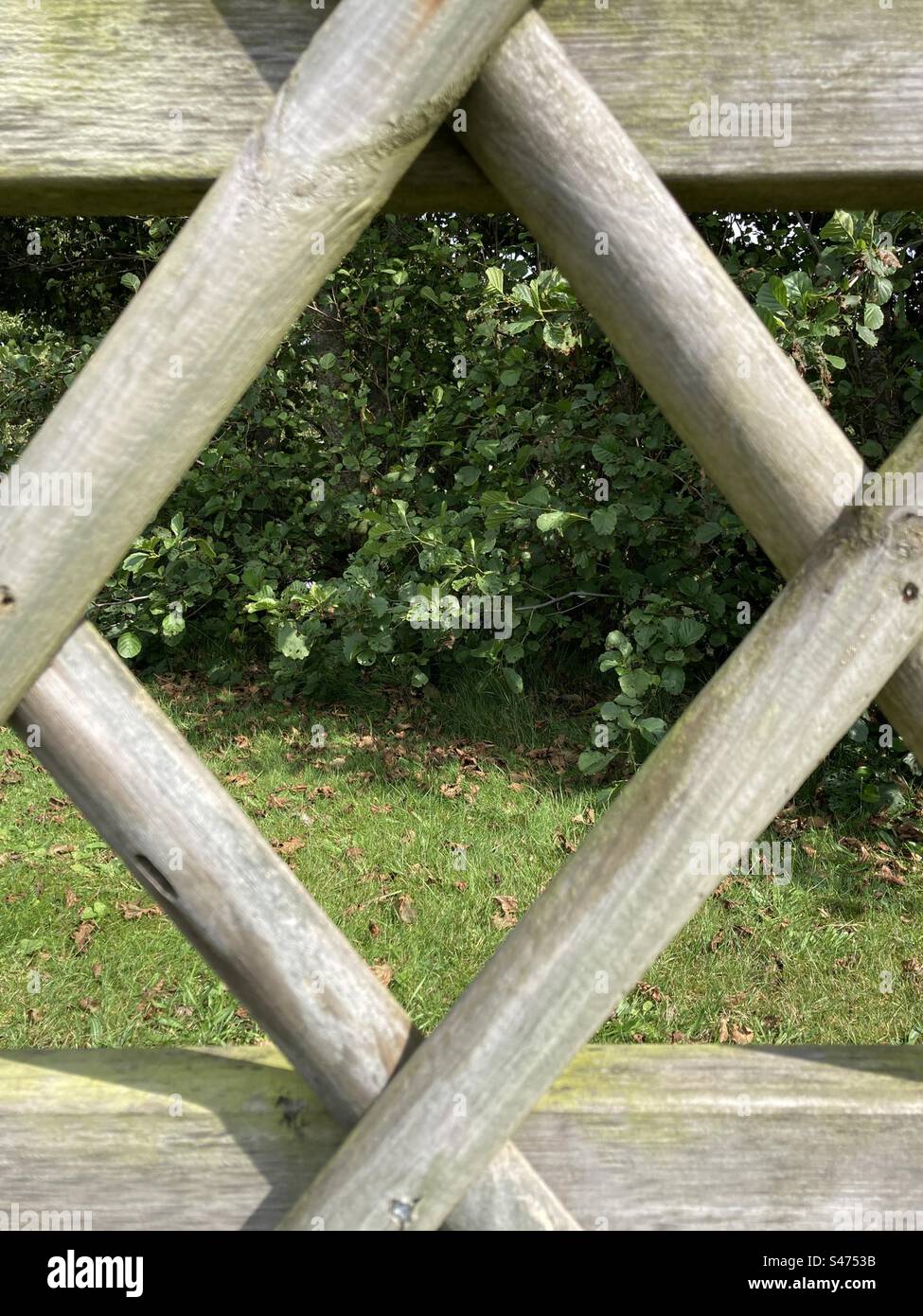 Elements of a hunter fence of wood Stock Photo - Alamy