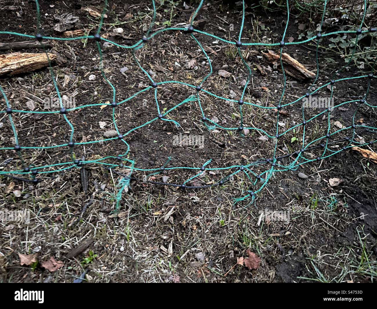Crafty net hi-res stock photography and images - Alamy