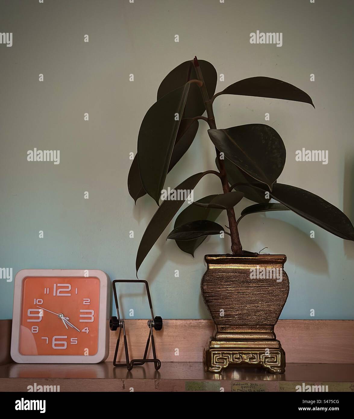 Study aesthetic hi-res stock photography and images - Alamy