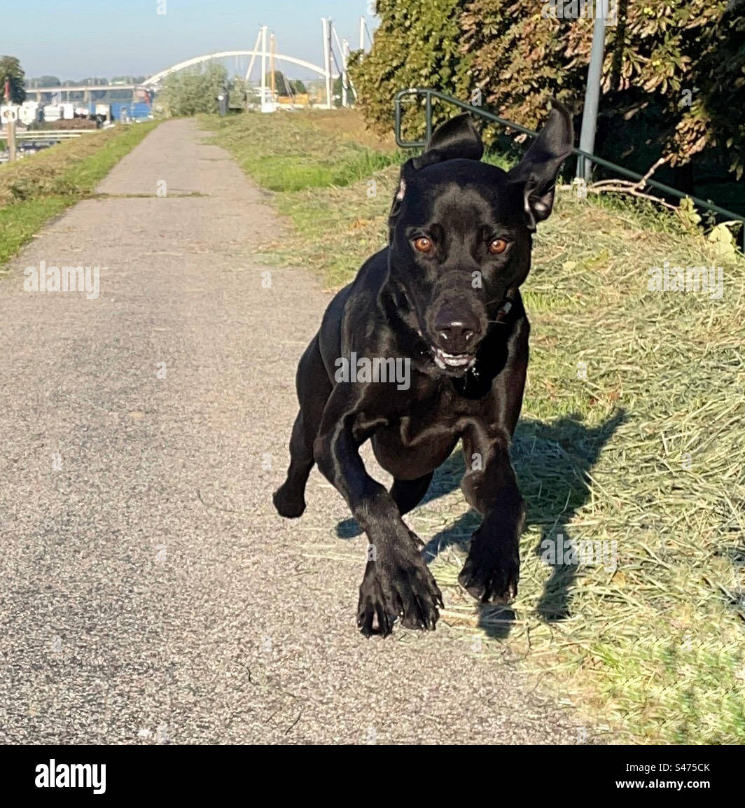 Happy sunshine hi-res stock photography and images - Alamy